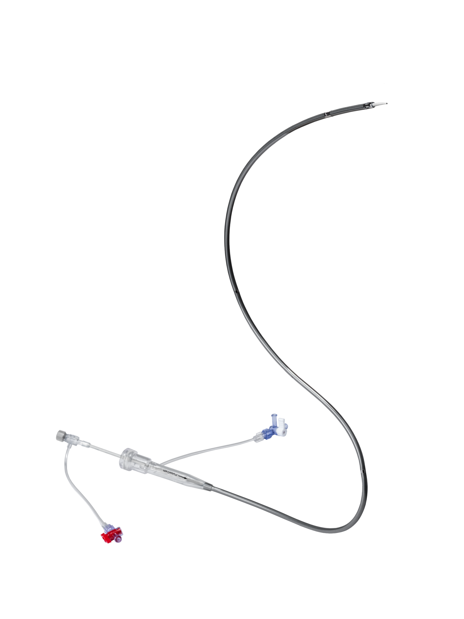 Home - PulseCath